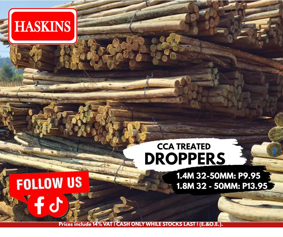 [Haskins - 20/08/2025] - Ends on 2025-08-31T00:00:00.000000Z